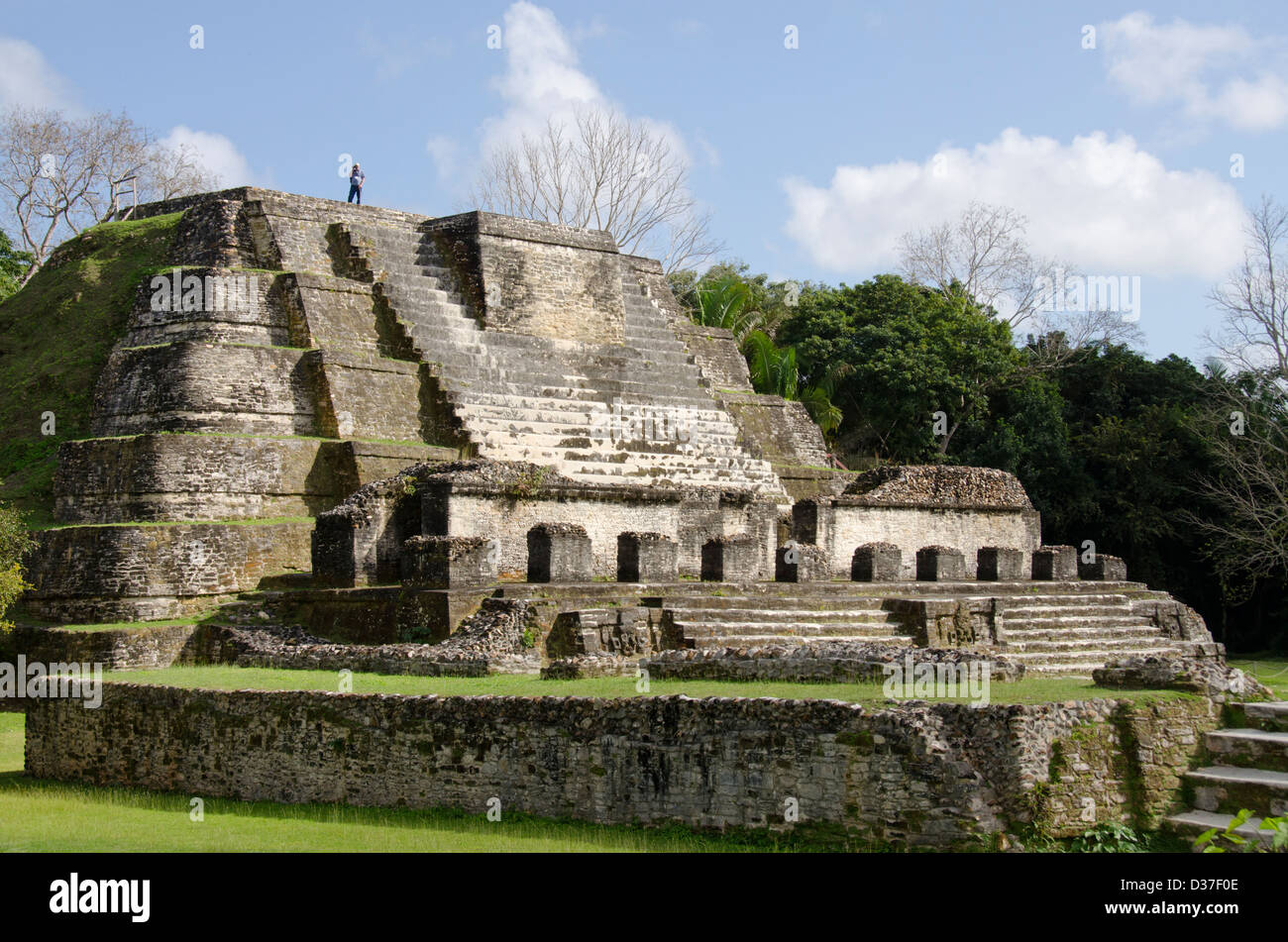 Belize, Altun Ha. Altun Ha, ruins of ancient Mayan ceremonial site from ...