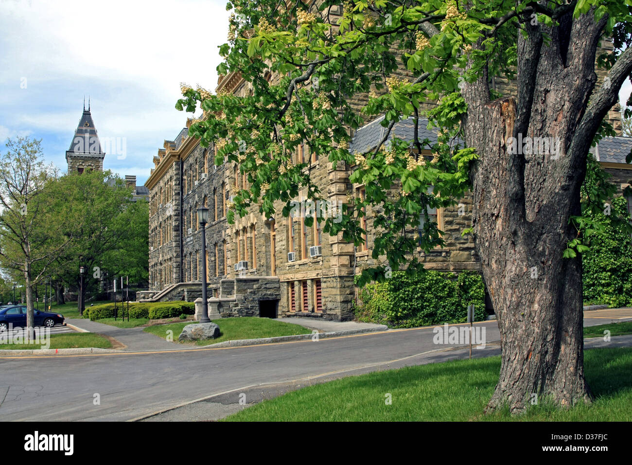 Cornell university campus hi-res stock photography and images - Alamy Cornell university campus hi-res stock photography and images - Alamy