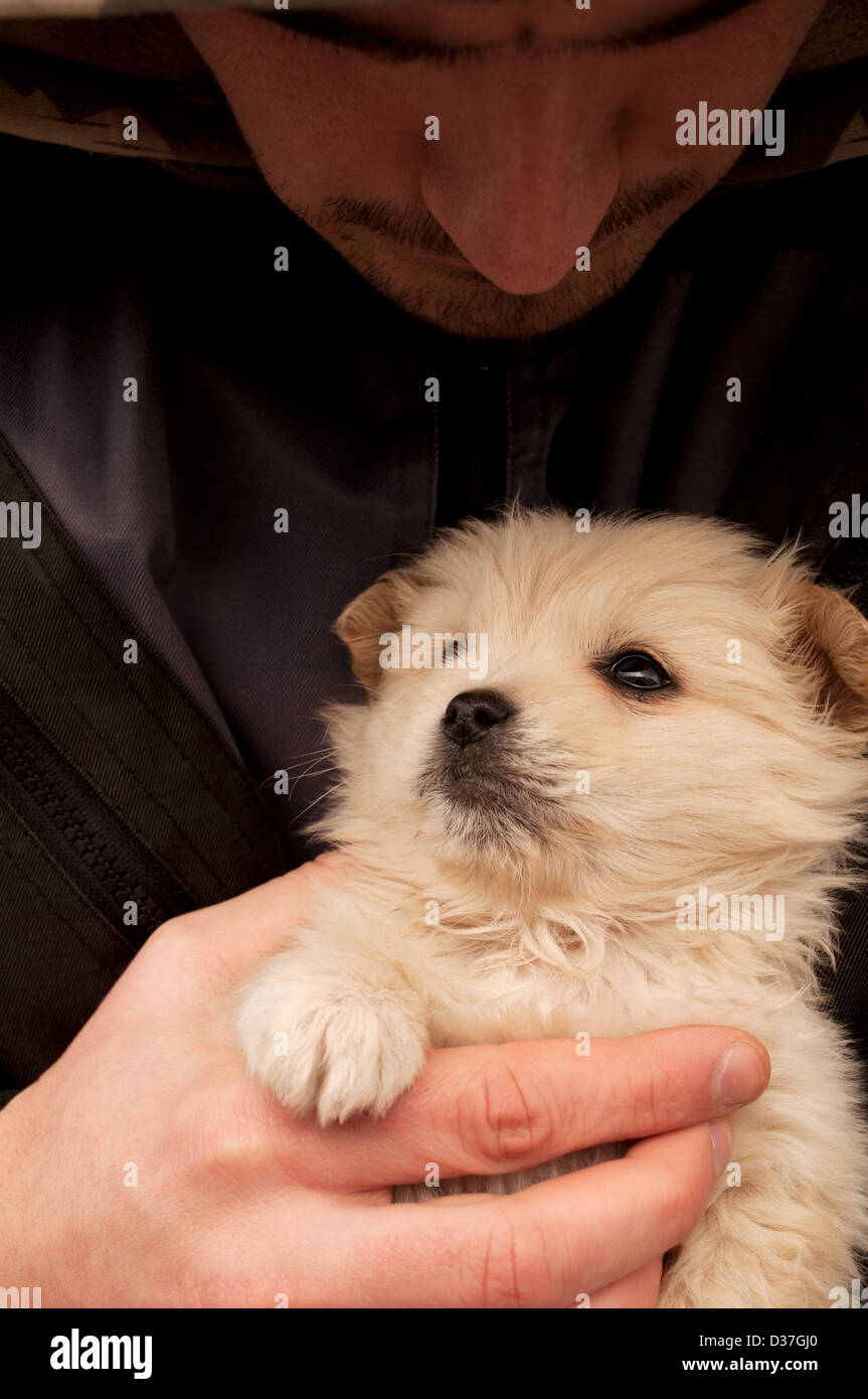 Man holding a puppy Stock Photo - Alamy