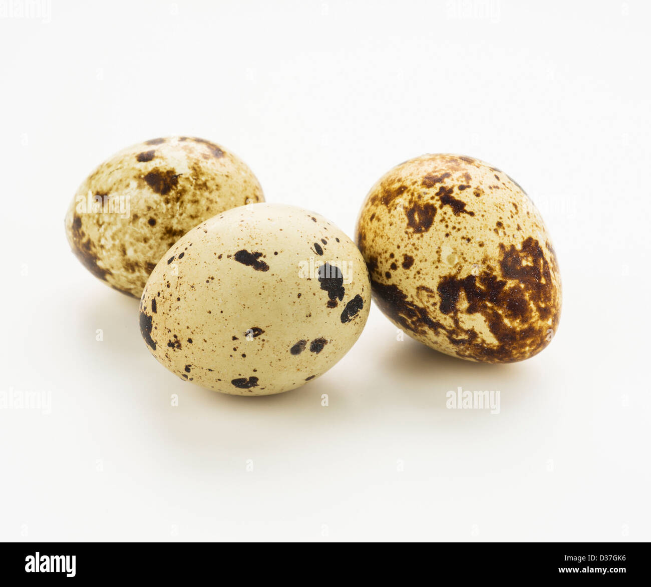 Quail egg close up Cut Out Stock Images & Pictures - Alamy