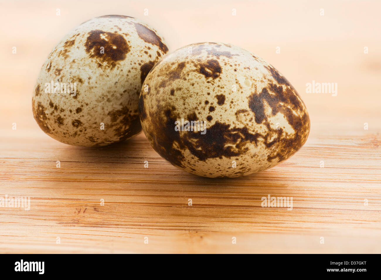 Studio shot of quail eggs Stock Photo - Alamy