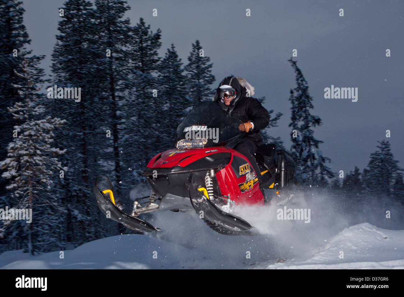 Jumping into action hi-res stock photography and images - Alamy