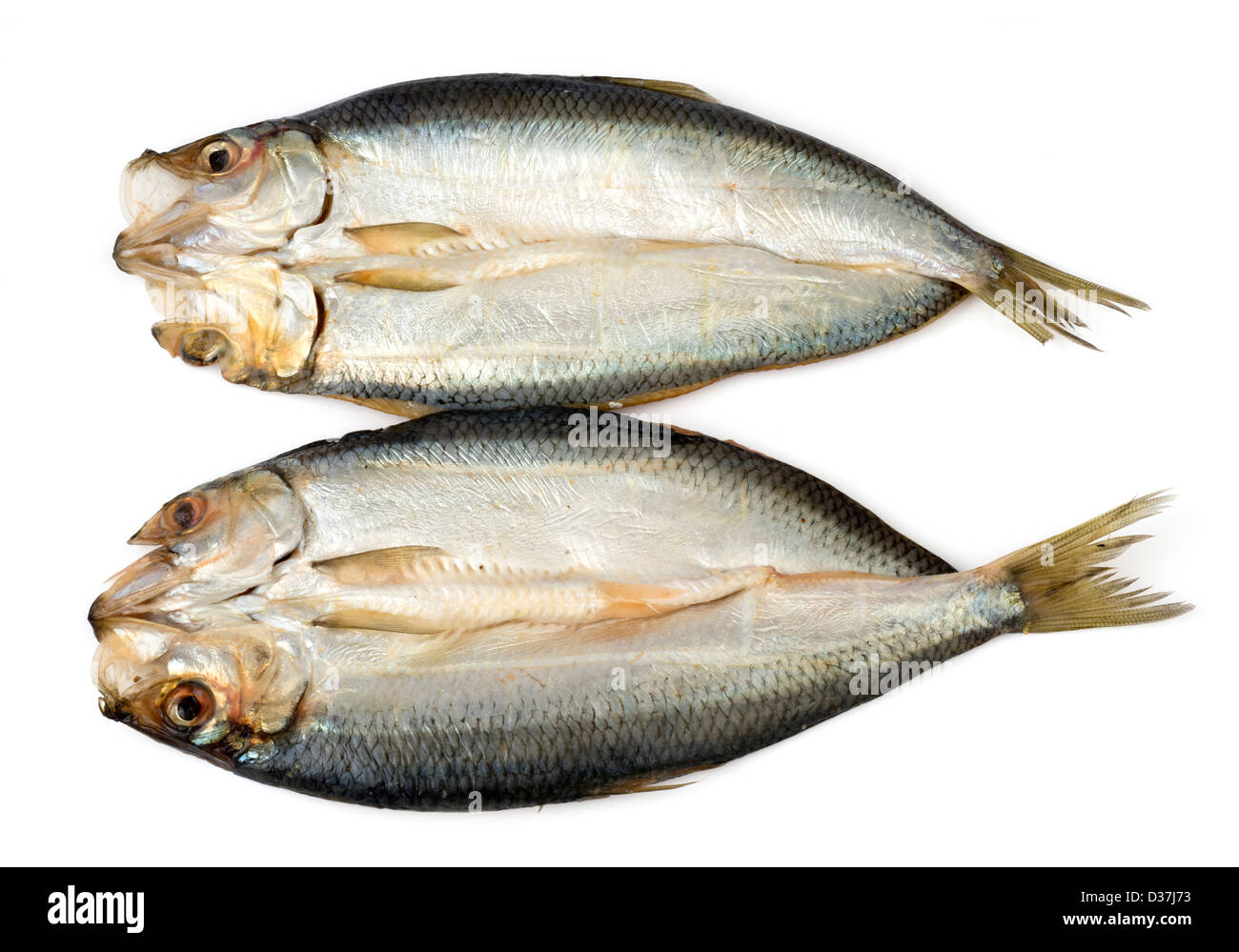 Fresh raw kippers Stock Photo - Alamy