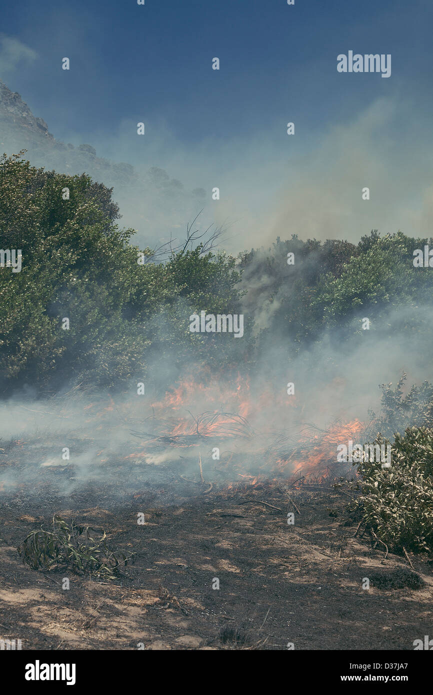 Veld fire hi-res stock photography and images - Alamy