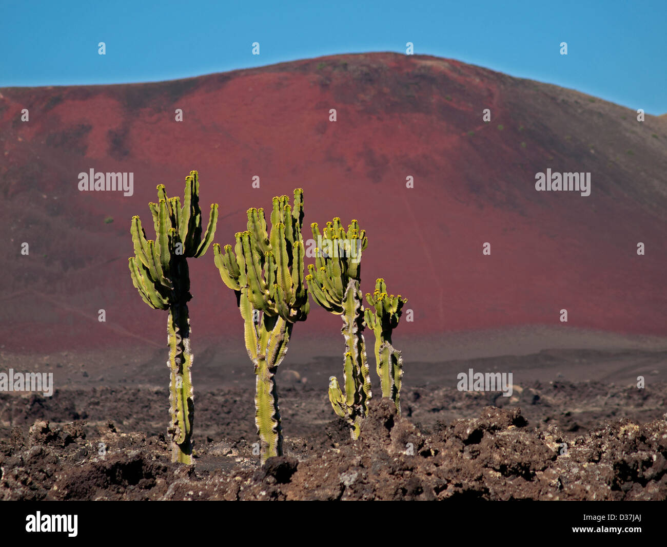 The landscape of Lanzarote Stock Photo - Alamy