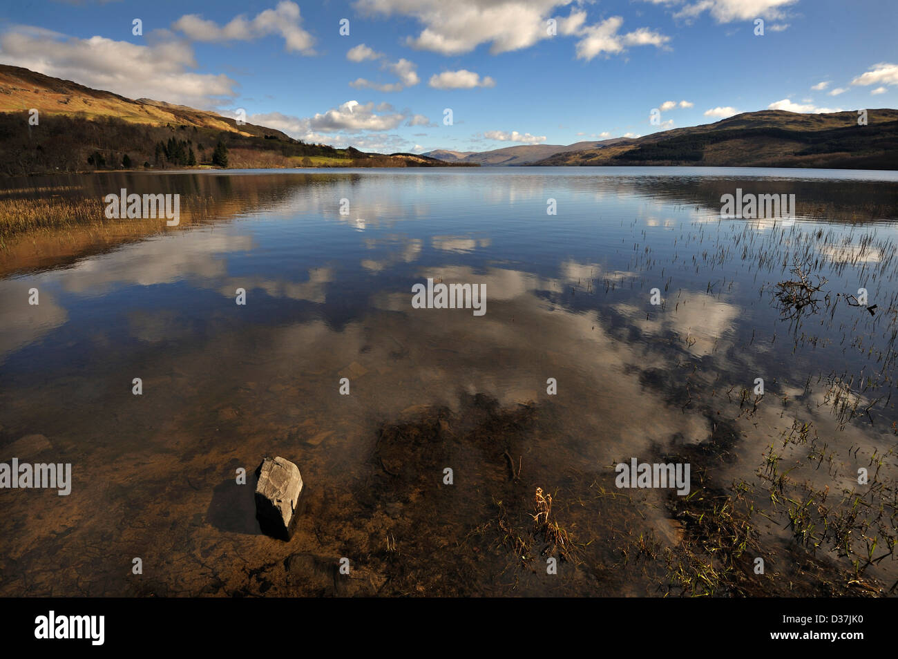 Wetlands along the western shore of Loch Tay, Perthshire, Scotland ...