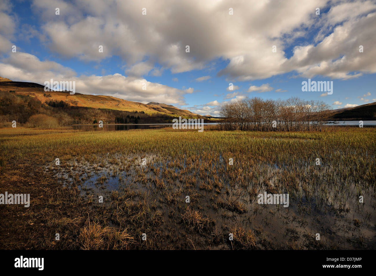 Wetlands along the western shore of Loch Tay, Perthshire, Scotland ...