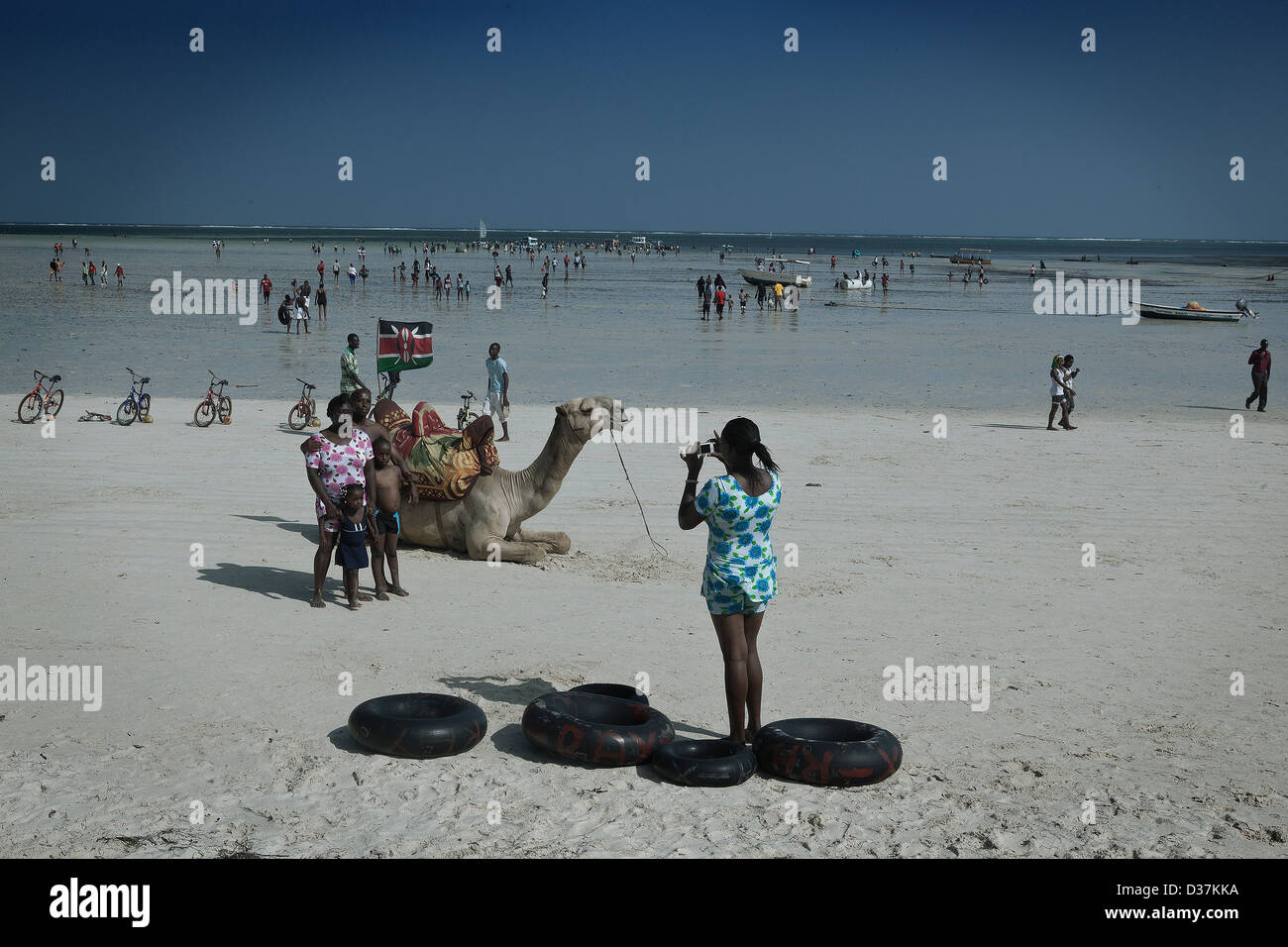 Camel beach hi-res stock photography and images - Alamy