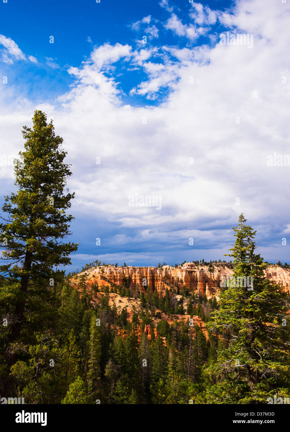 USA, Utah, Bryce Canyon, Landscape with rock formation Stock Photo - Alamy