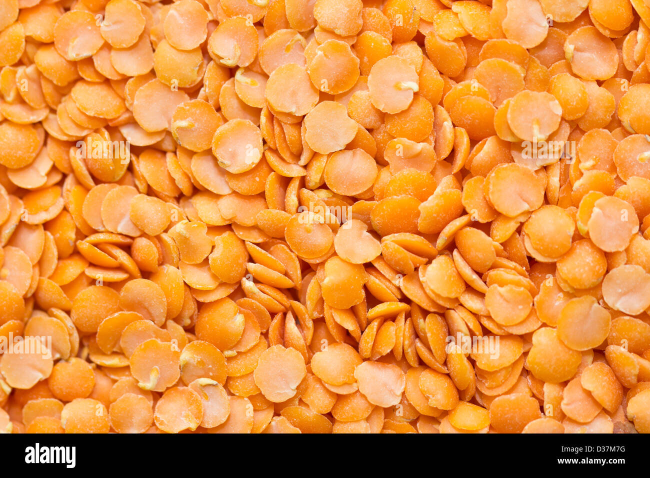 Legume lentil hi-res stock photography and images - Alamy