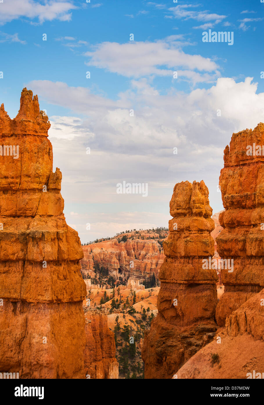 USA, Utah, Bryce Canyon, Landscape with cliffs Stock Photo - Alamy