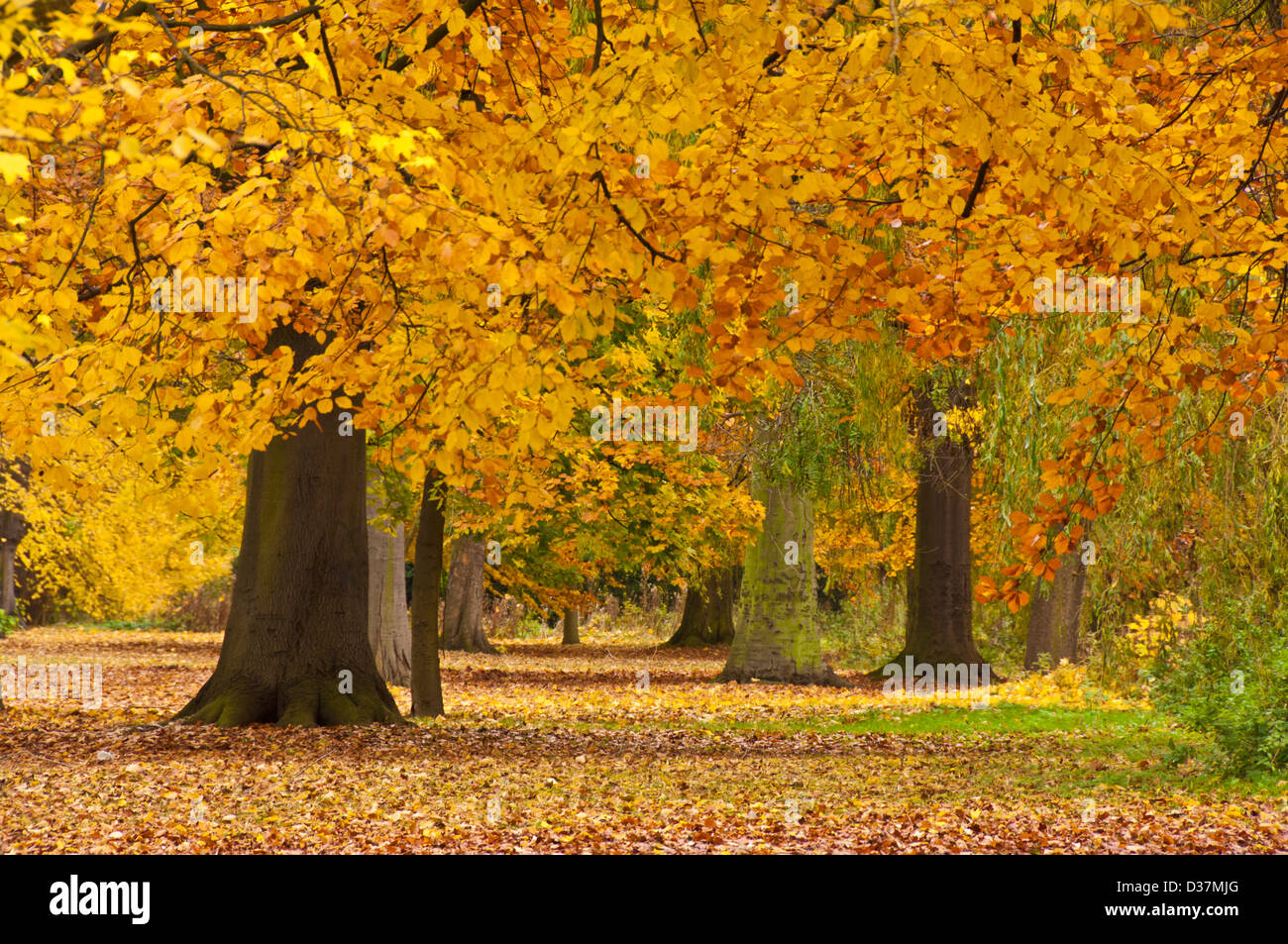 Highfields park hi-res stock photography and images - Alamy