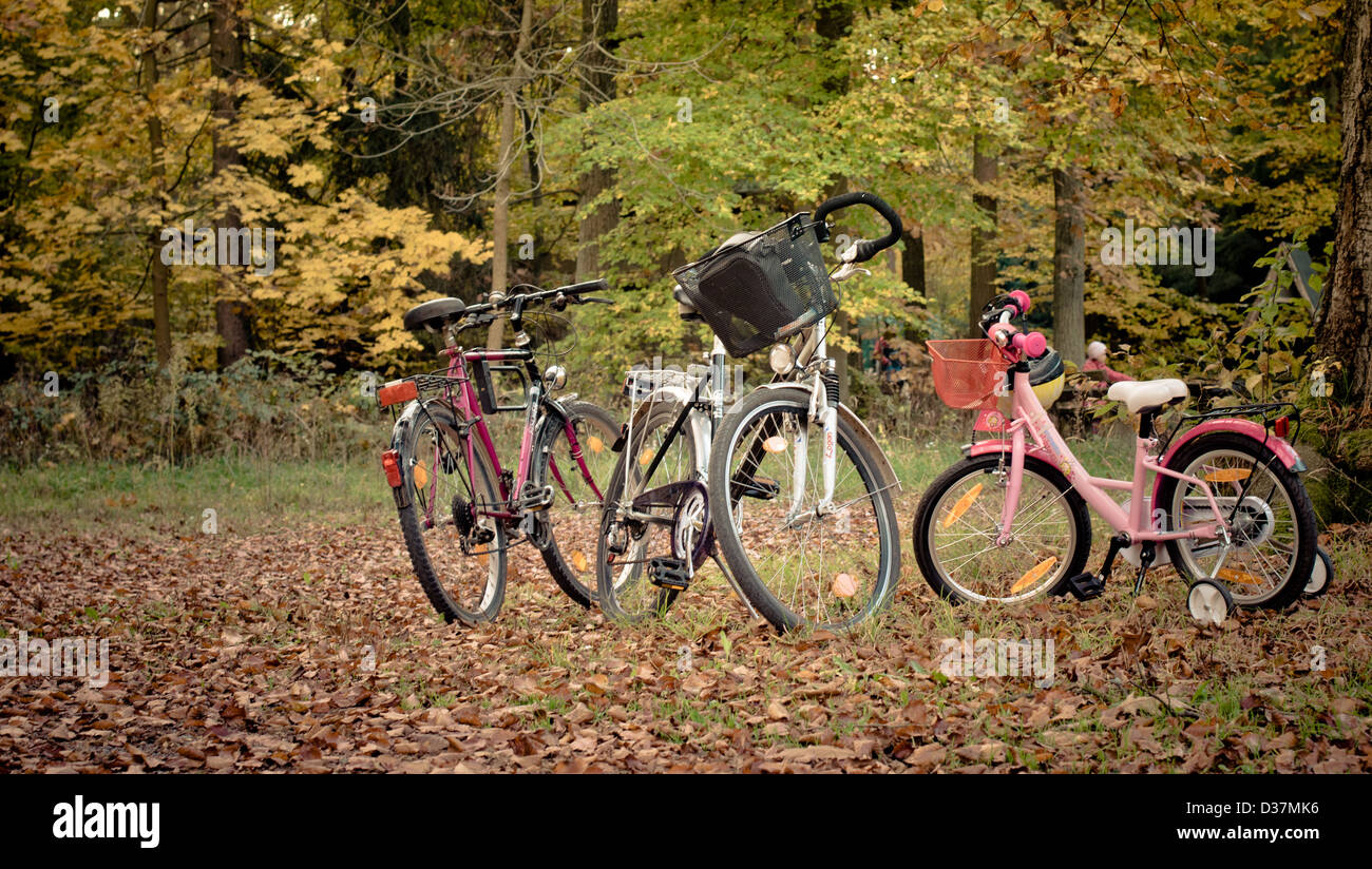 bicycle, germany, tree, park, three, autumn, children's, nature Stock ...