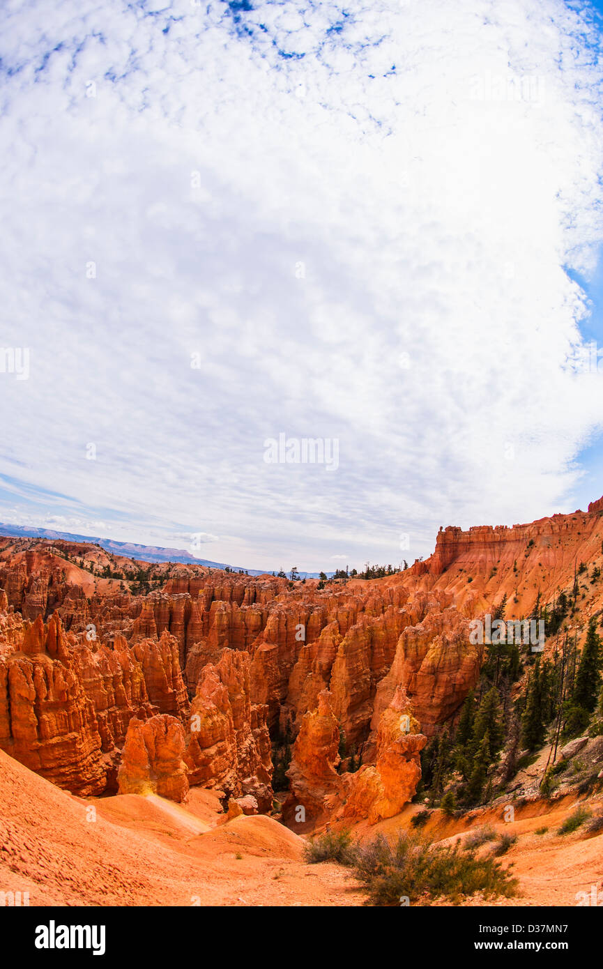 USA, Utah, Bryce Canyon, Landscape with cliffs Stock Photo - Alamy