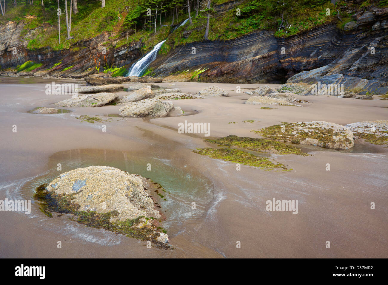 OR01035-00...OREGON - Waterfall spilling on to the beach at Oswald West ...