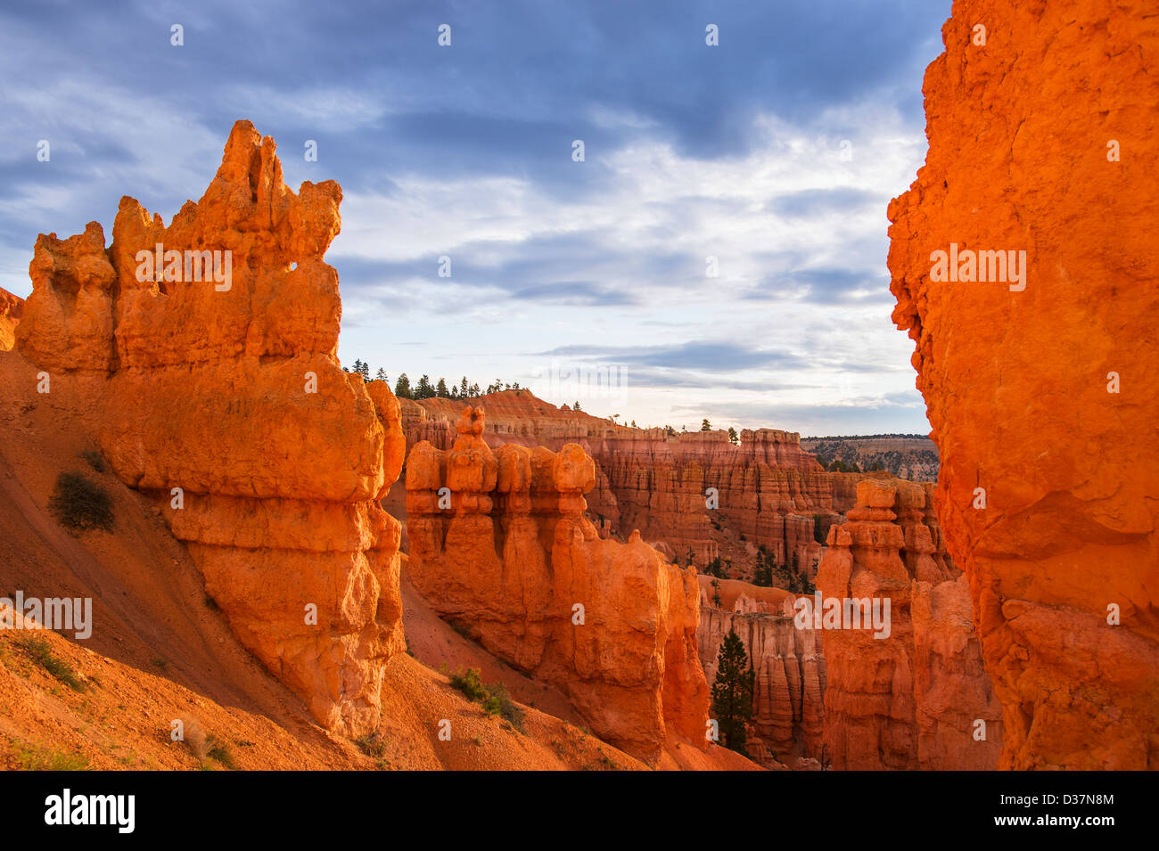 USA, Utah, Bryce Canyon, Landscape with cliff Stock Photo - Alamy