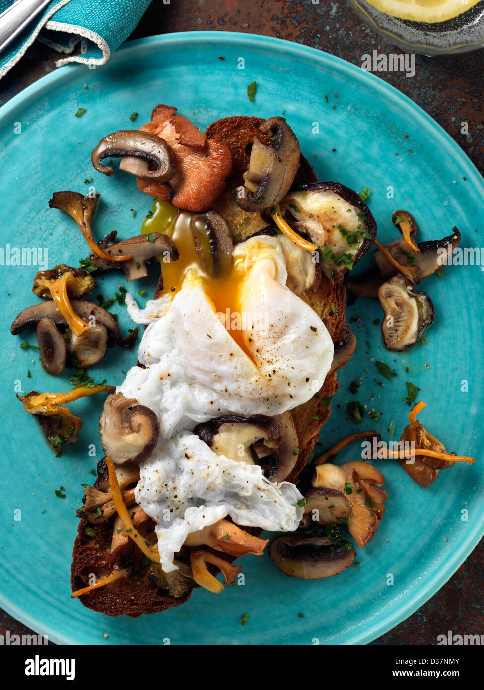 Poached duck egg on a bed of wild mushrooms on a slice of toasted San ...