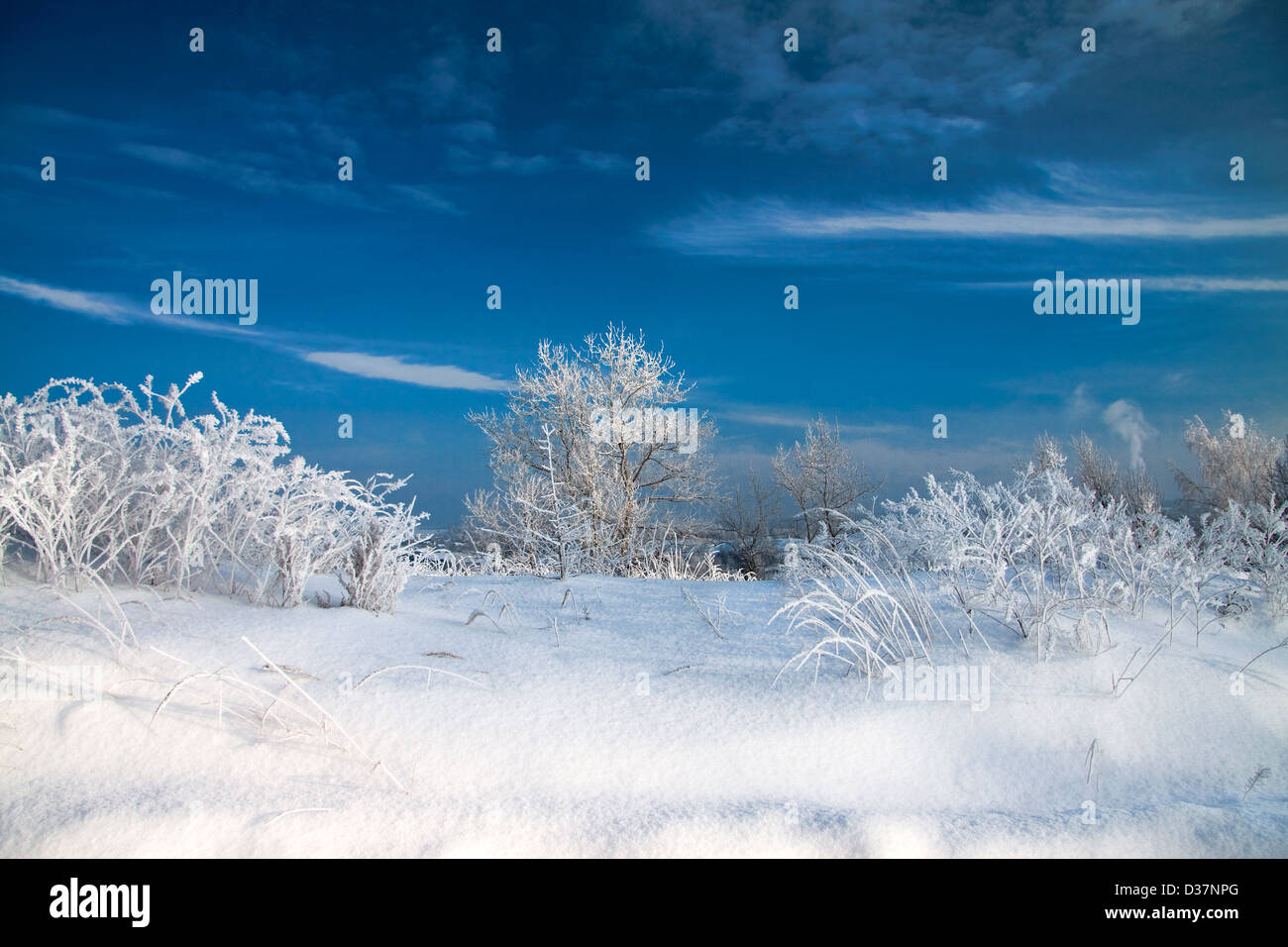beautiful winter landscape with the blue sky and trees Stock Photo - Alamy