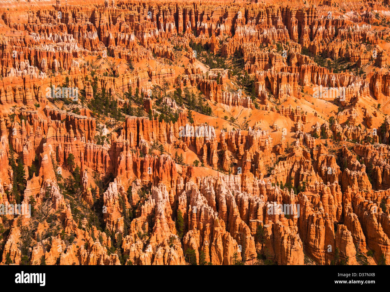 USA, Utah, Bryce Canyon, Landscape with cliff Stock Photo - Alamy