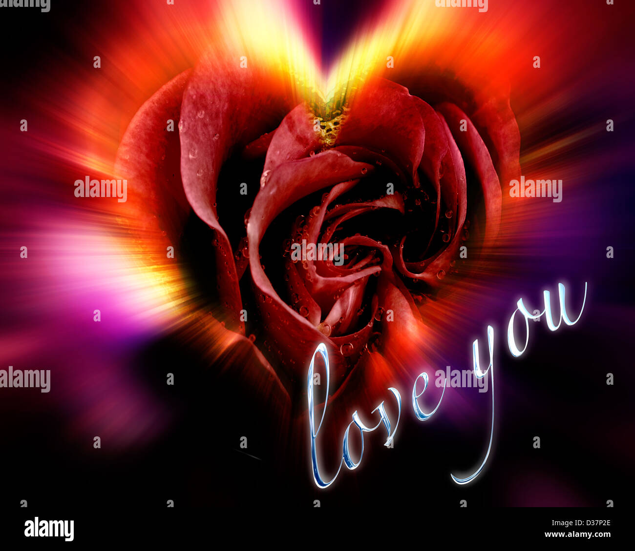 Red Rose I Love You Wallpaper