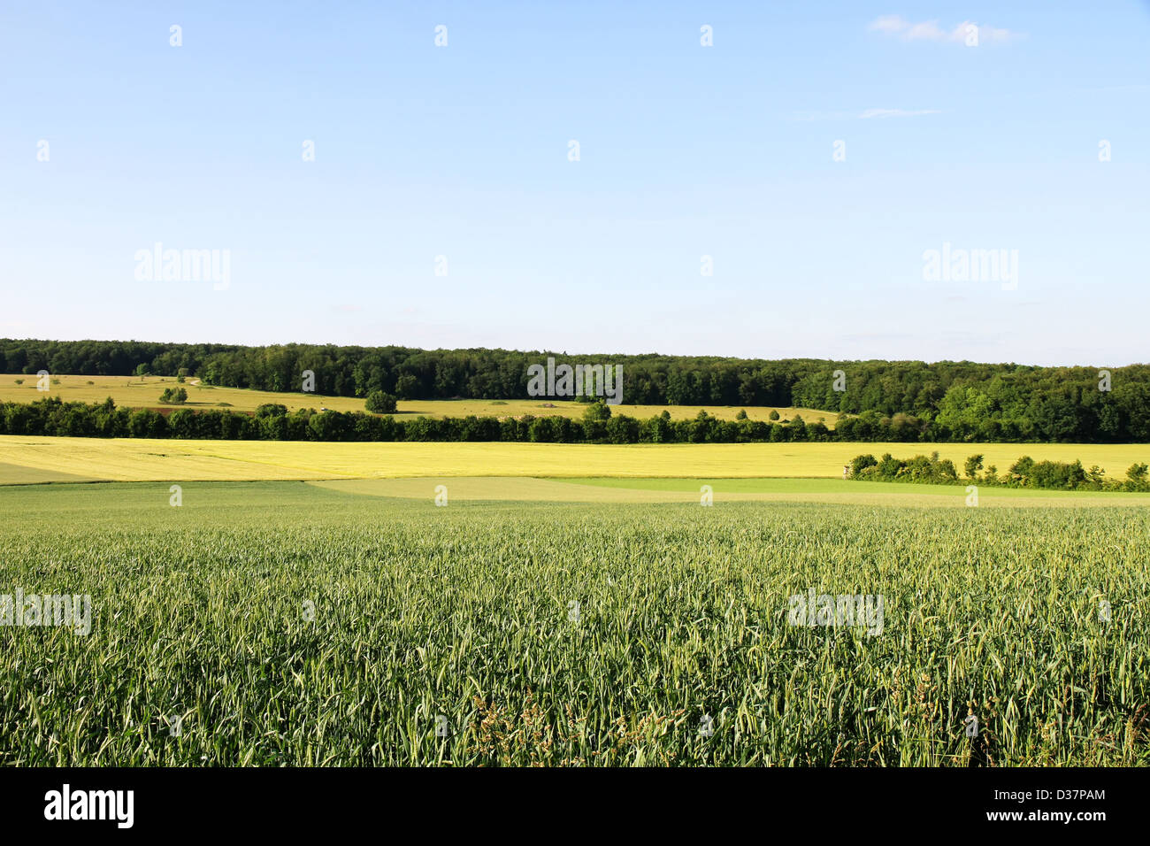 A typical german landscape with different fields and a forest Stock ...