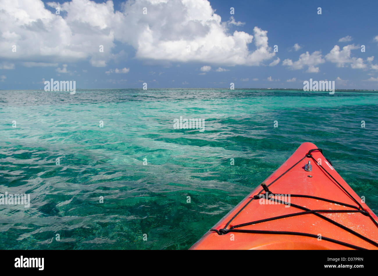 Belize, Caribbean Sea, Southwater Cay. Kayaking in the clear waters off ...