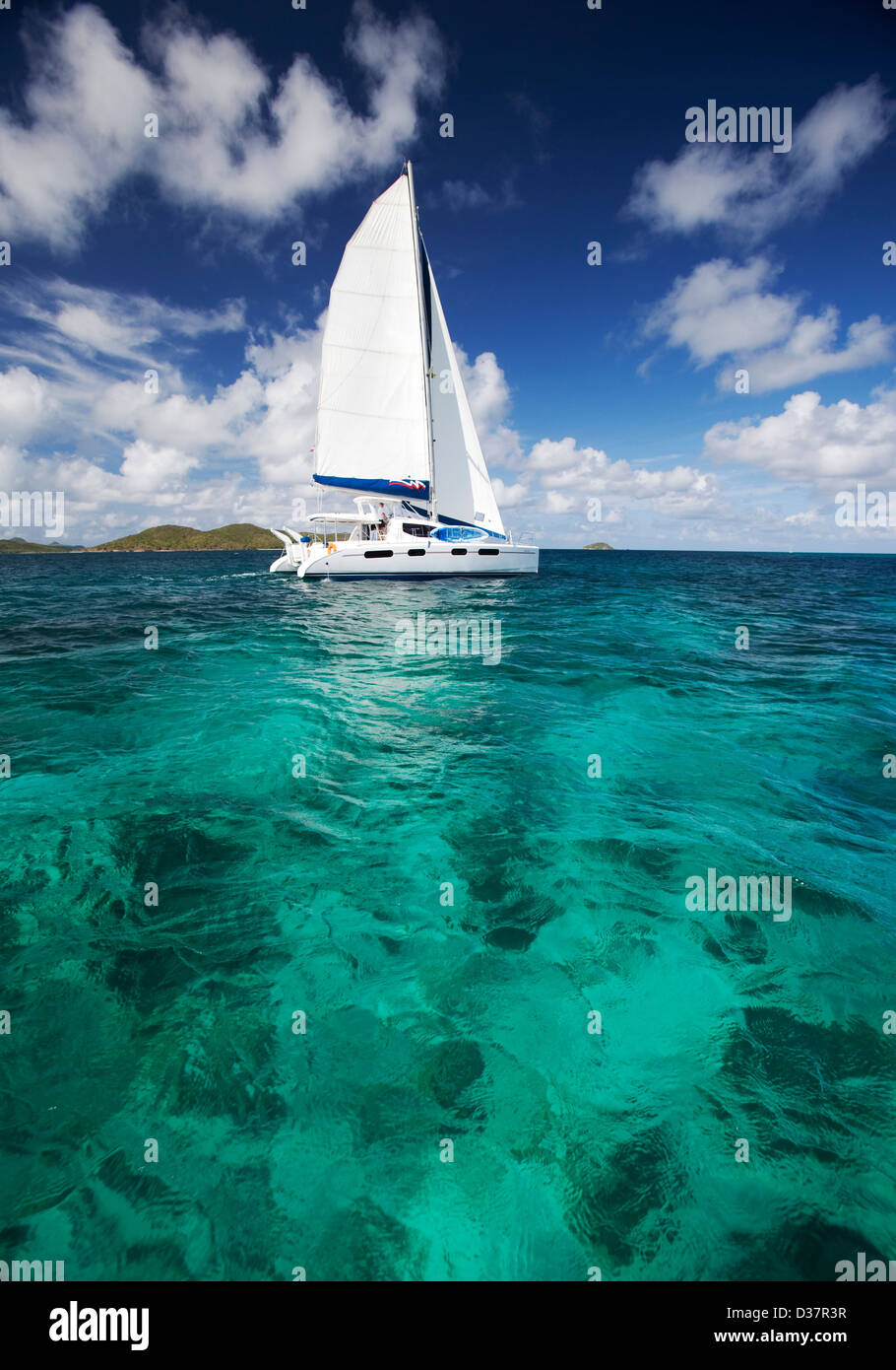 Tropical Sailing Wallpaper