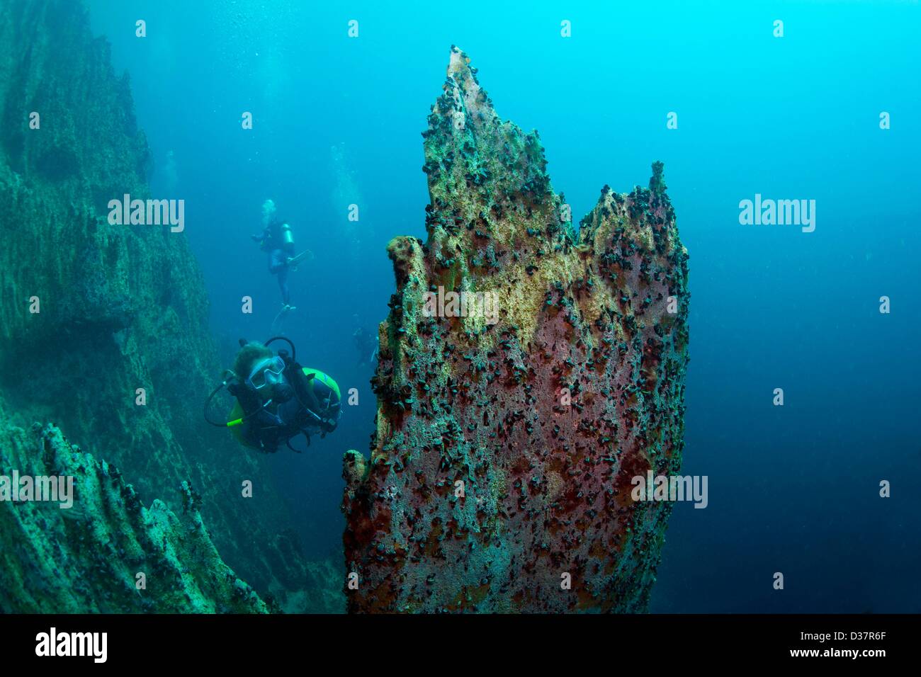 Divers in the Barracuda Lake, a tourist attraction for nature lovers ...