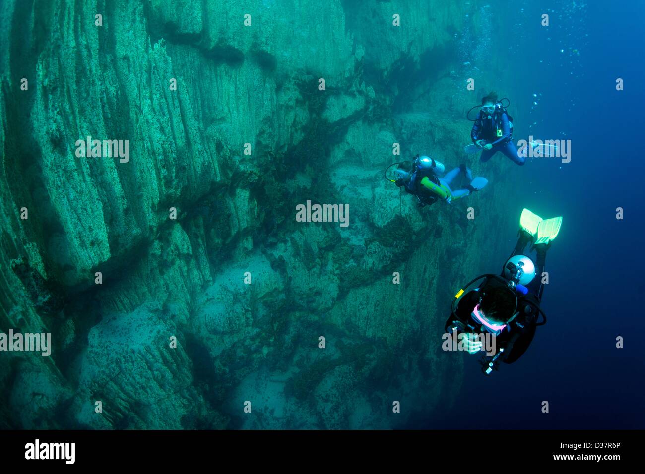 Divers in the Barracuda Lake, a tourist attraction for nature lovers ...