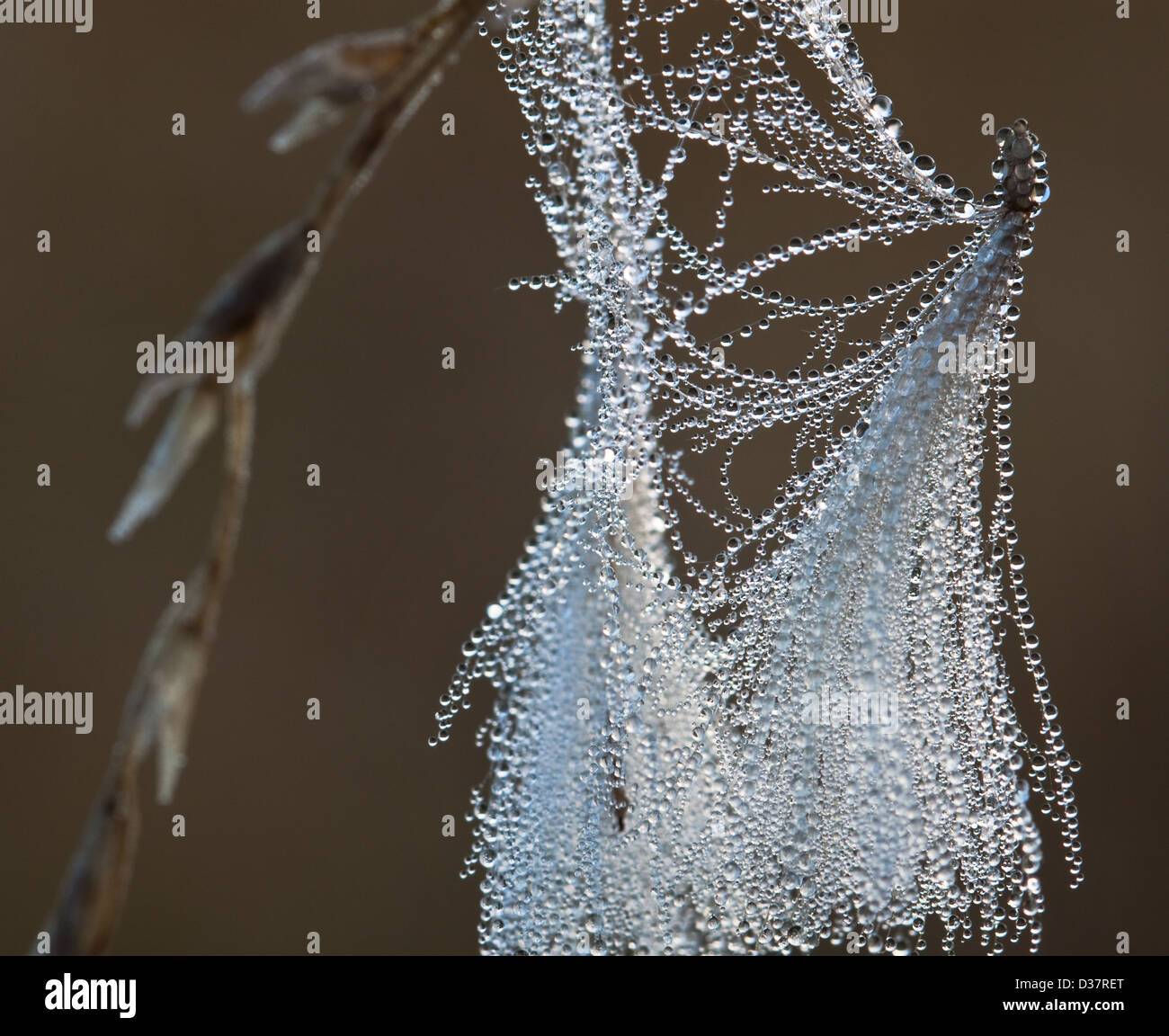 This morning weather map hi-res stock photography and images - Alamy
