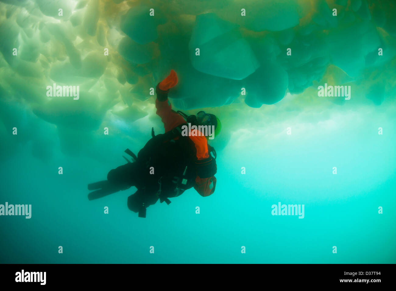 Man scuba diving under glacier Stock Photo - Alamy