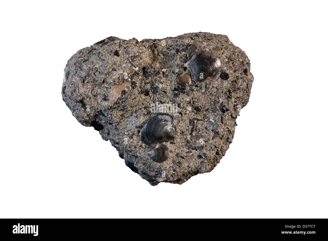 Phosphorite hi-res stock photography and images - Alamy