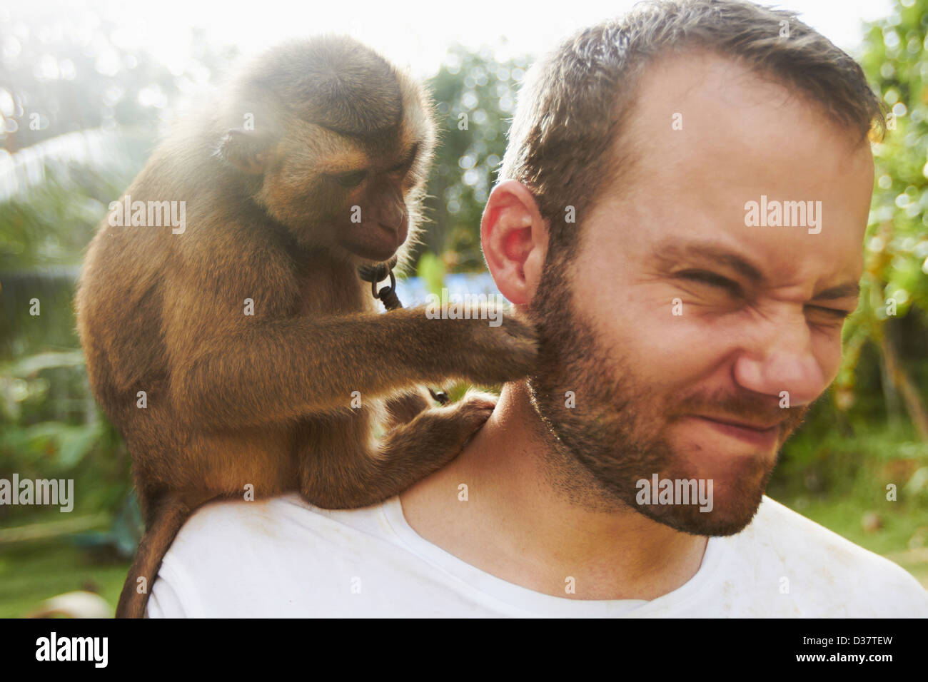 Thailand, Portrait of adult man with macaque monkey sitting on his ...