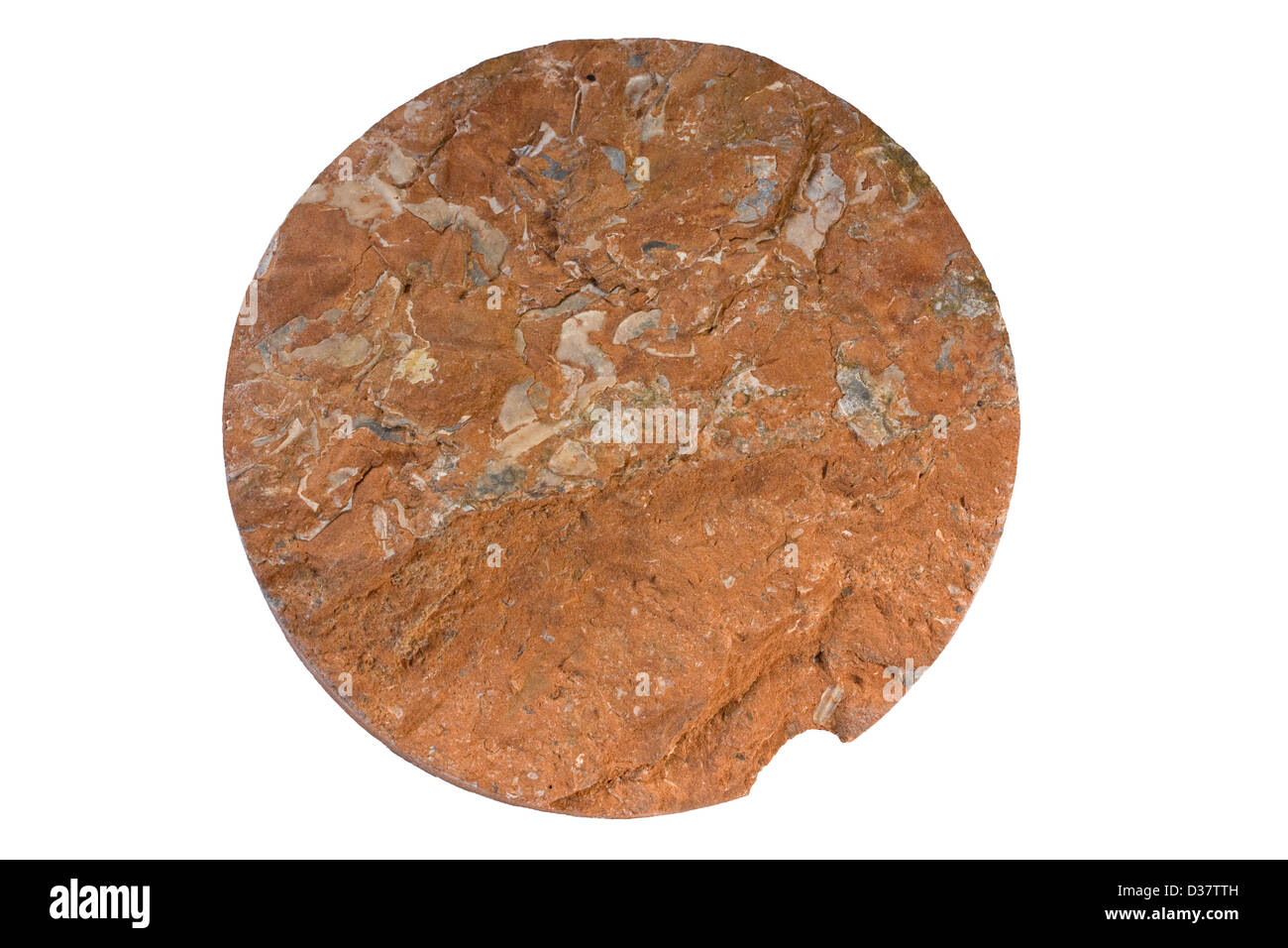 Drill core of oil shale Stock Photo - Alamy