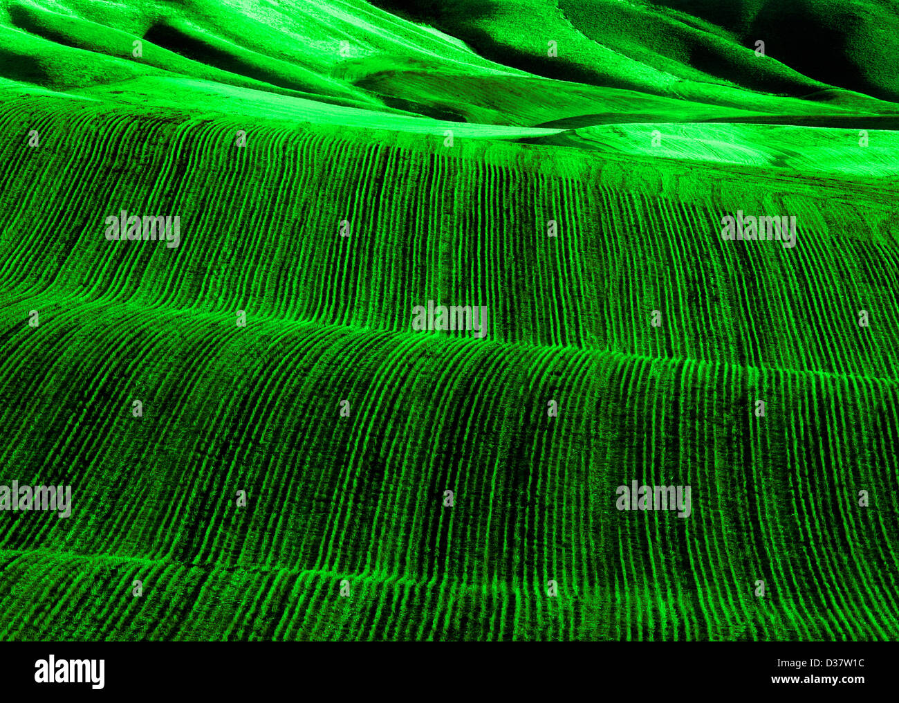 Crops growing in green field hi-res stock photography and images - Alamy