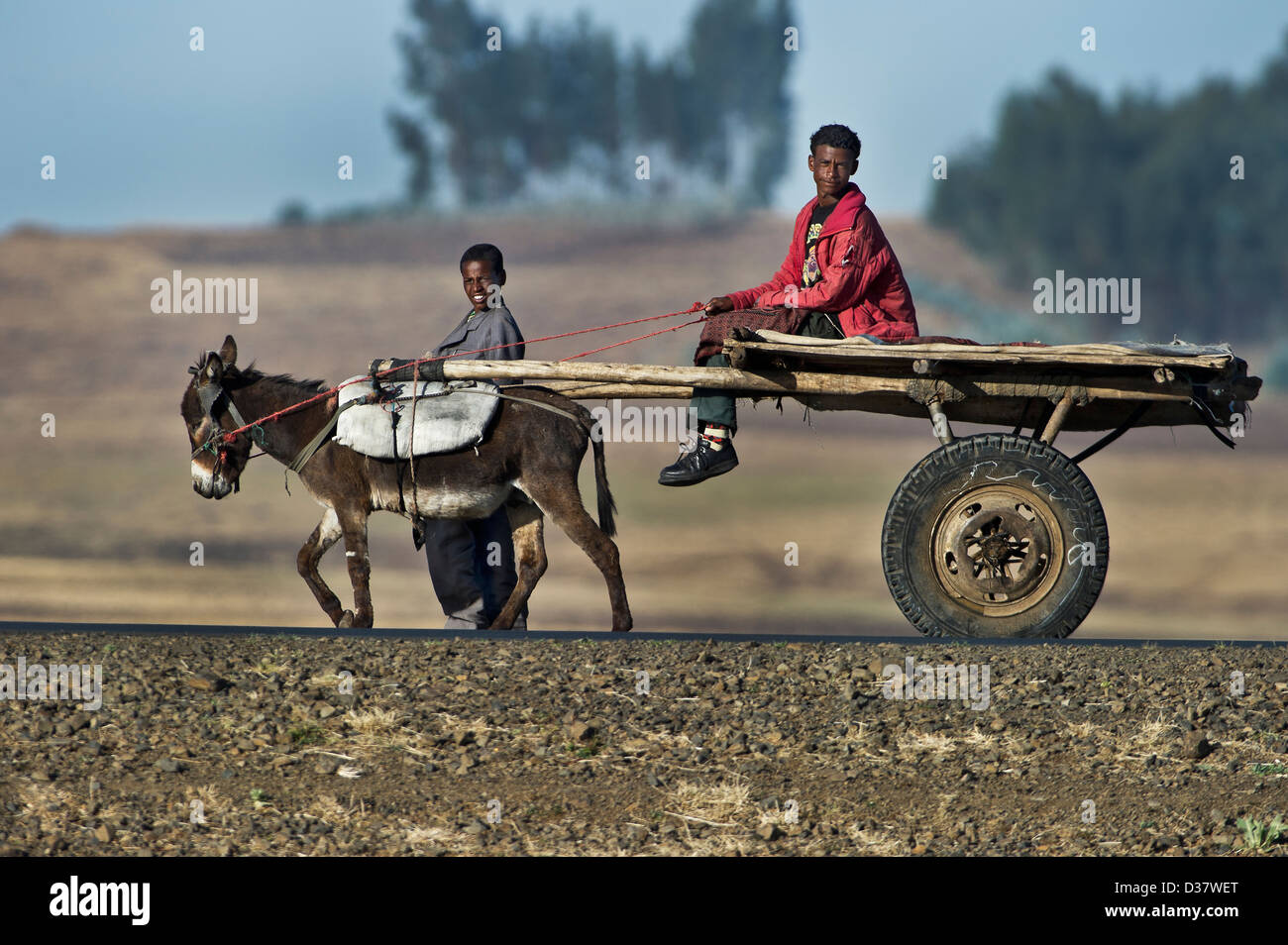 a cart drawn by a donkey, Ethiopia Stock Photo - Alamy