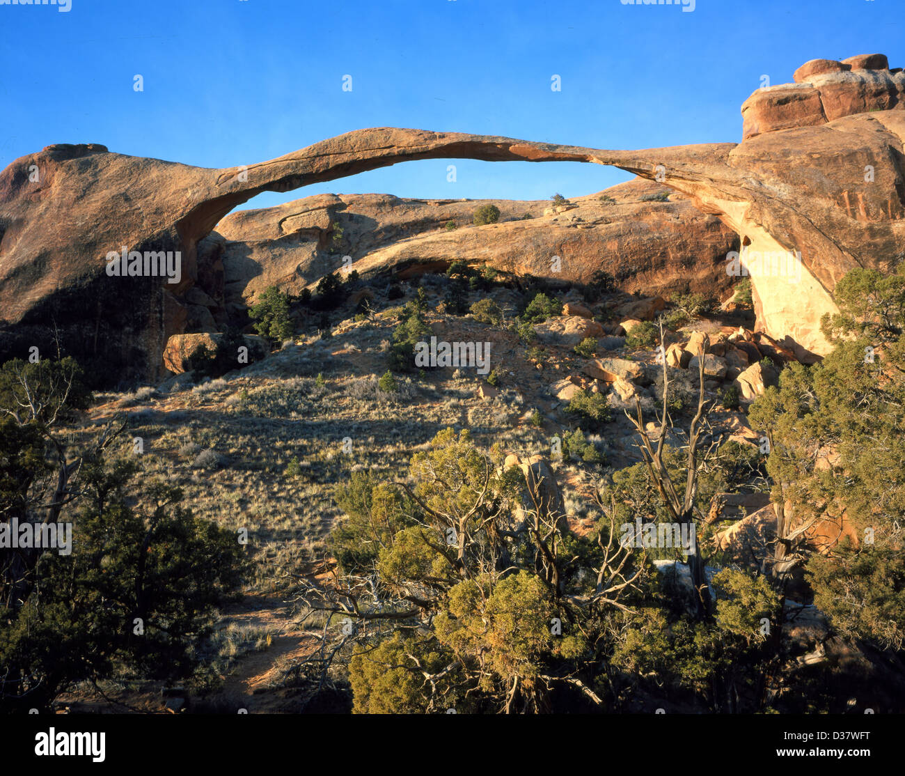 Landscapearch hi-res stock photography and images - Alamy