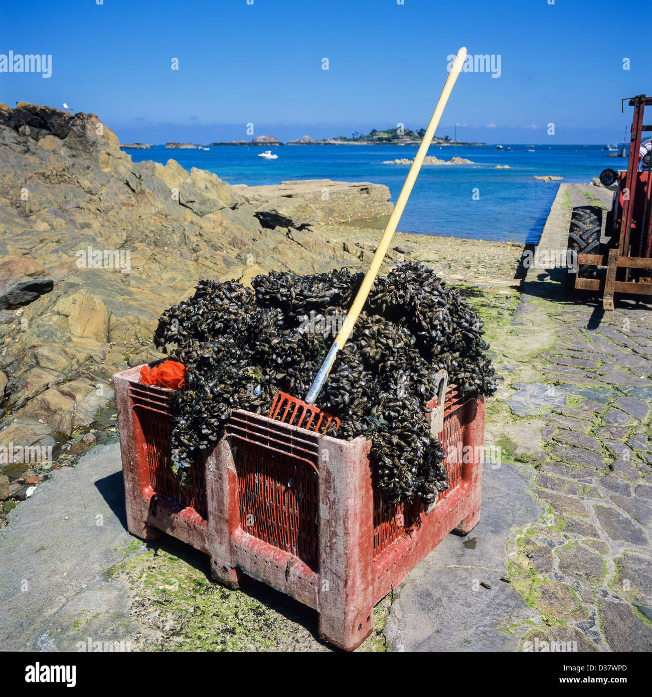 Mussel crate "Pors-Even" harbour Brittany France Stock Photo - Alamy