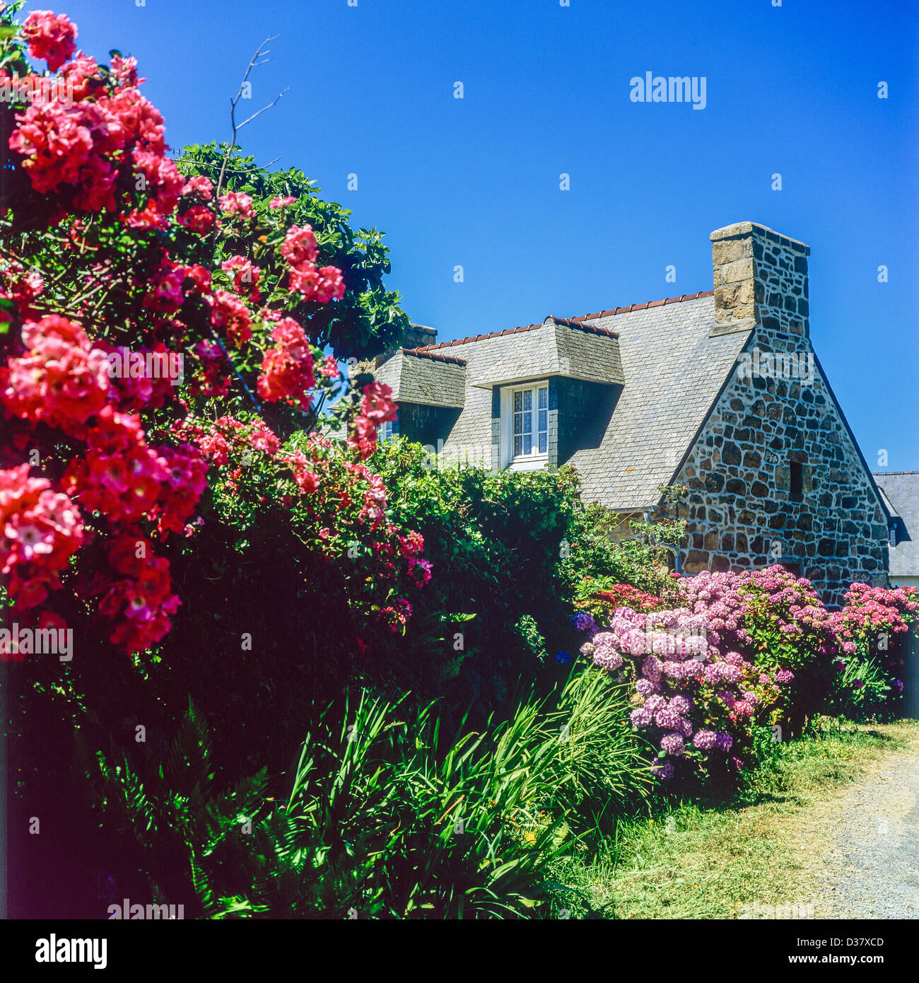 Typical houses flowered france hi-res stock photography and images - Alamy