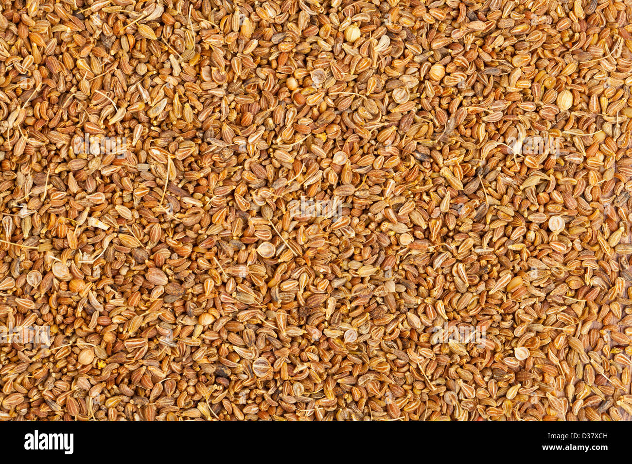 Frame filling background of organic dried anise seeds Stock Photo - Alamy