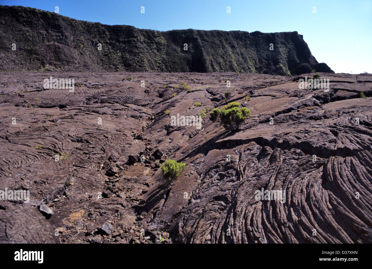 Dried Corded Lava Piton de la Fournaise Volcano and Volcanic Landscape ...