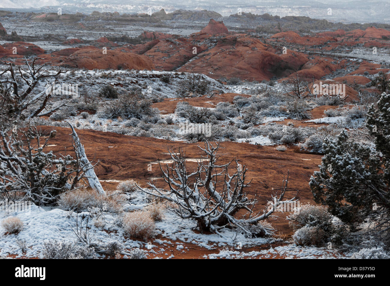 The Petrified Dunes in Arches National Park, Utah, are a geological ...
