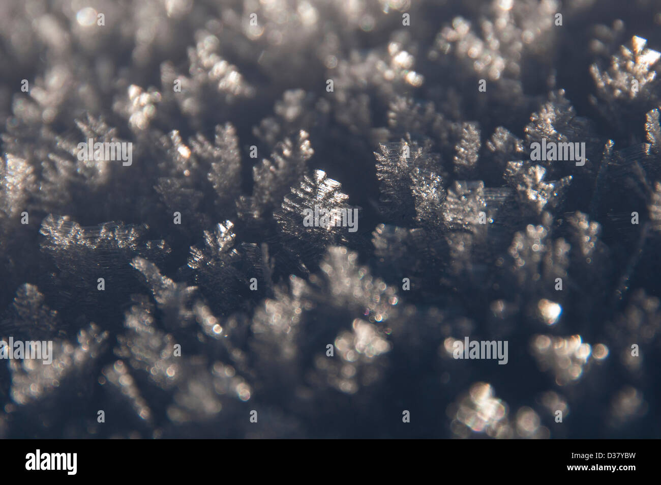 Hoar frost forms on the iconic rock formations of Arches National Park ...