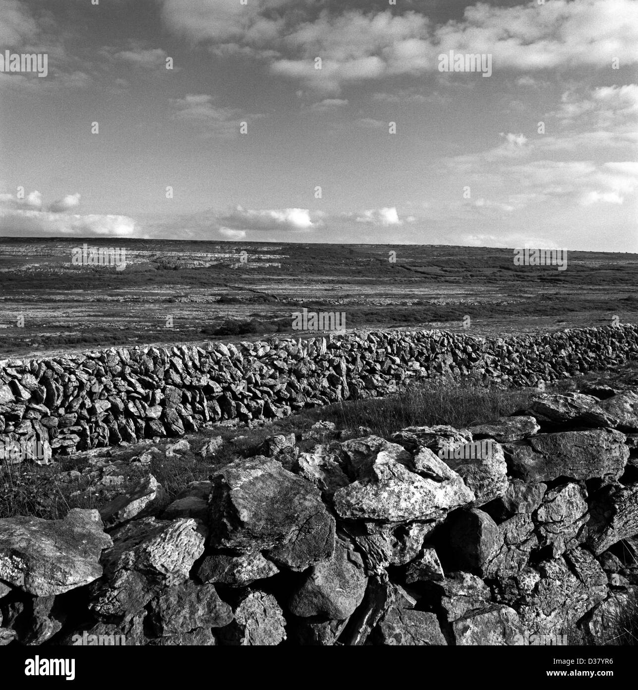 The Burren, Co Clare, Ireland Stock Photo - Alamy