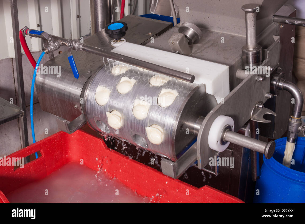 Last step in the production chain for fresh mozzarella cheese Stock ...