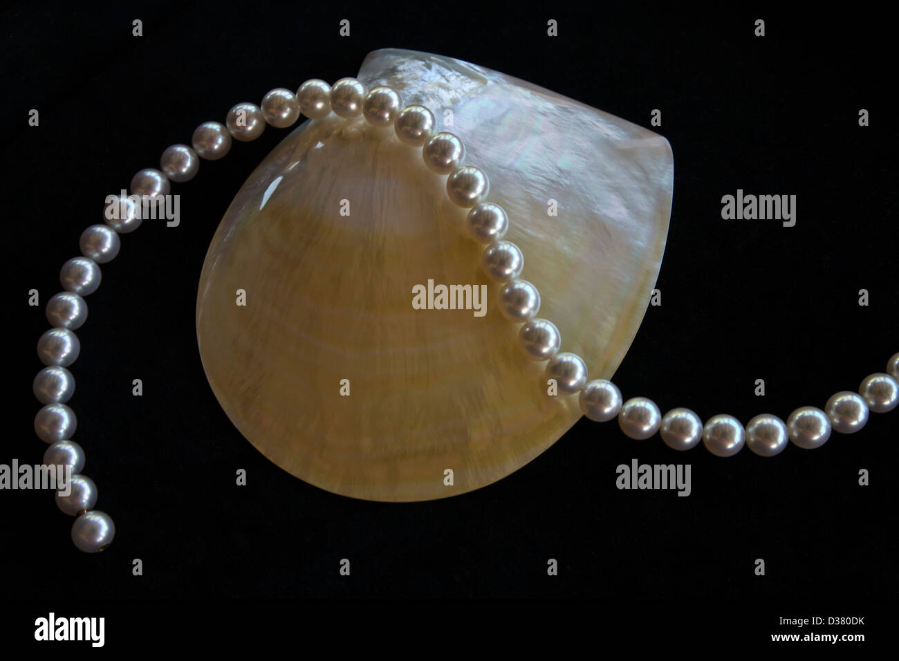 Broome pearls on display at Paspaley's Pearls, Western Australia Stock ...