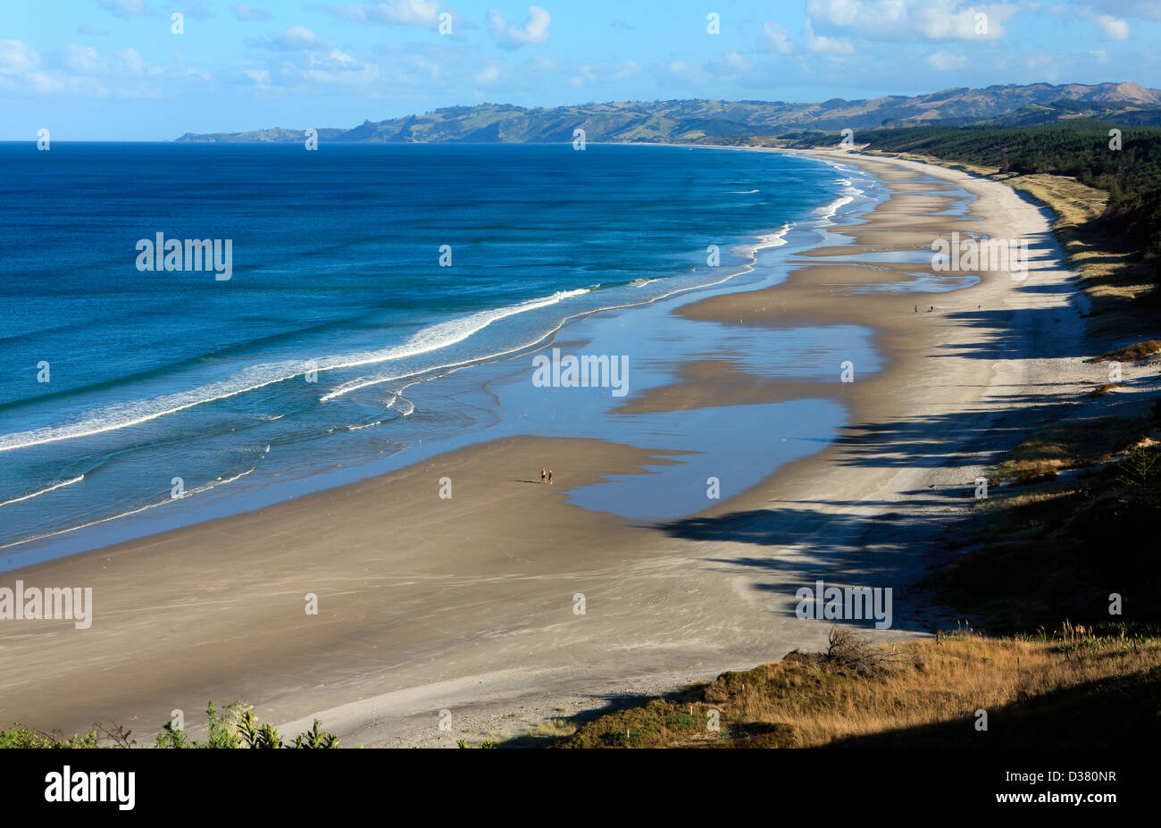 Forestry Beach in Northland Stock Photo - Alamy