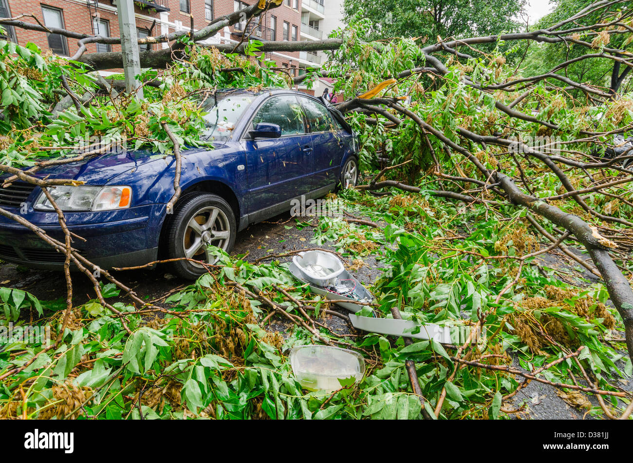Car fallen tree hi-res stock photography and images - Alamy