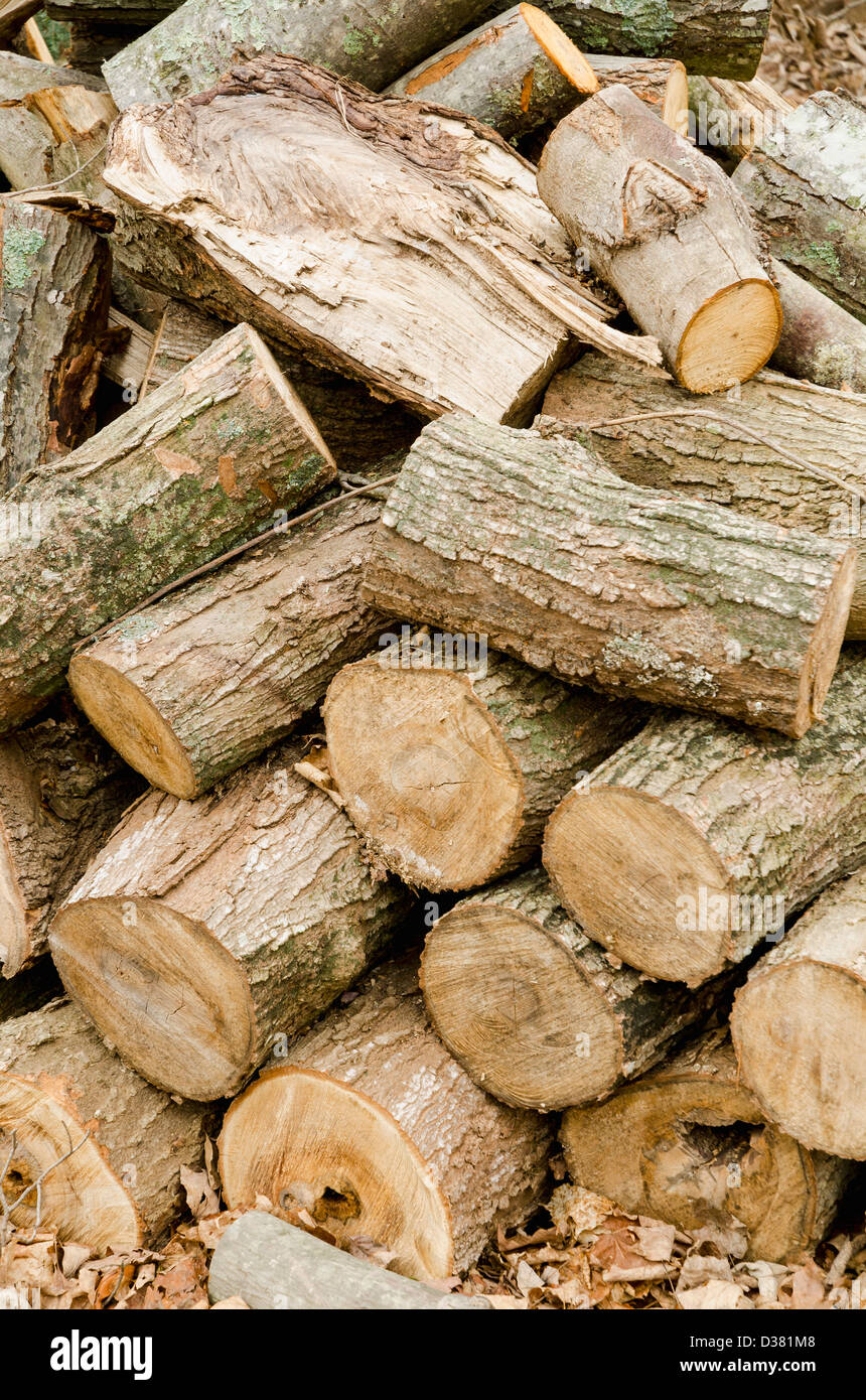 USA, Connecticut, Stack of firewood Stock Photo - Alamy