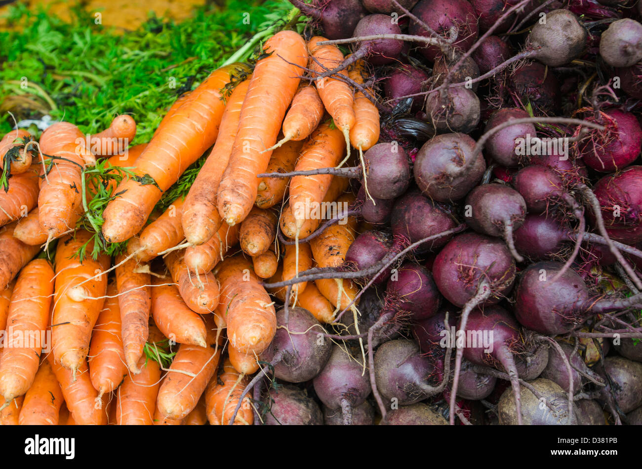 USA, New York, Stack of carrots and beets Stock Photo - Alamy